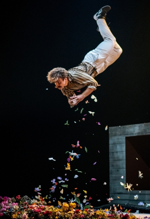 Théâtre des Muses | Co-Motion